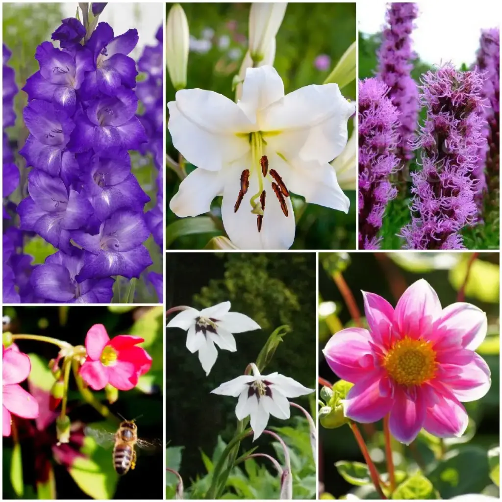 Bijenbuffet Zoem Zoem - BIO | Natural Bulbs NL